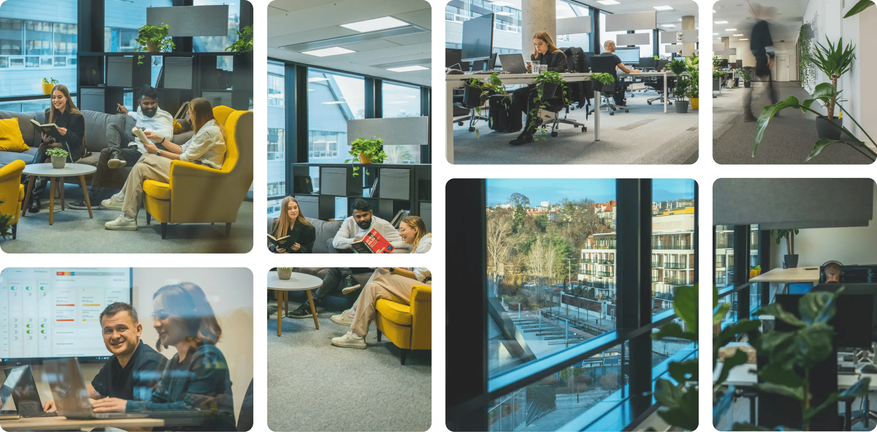 Business Development Representative | YDISTRI Business Development Representative | YDISTRI